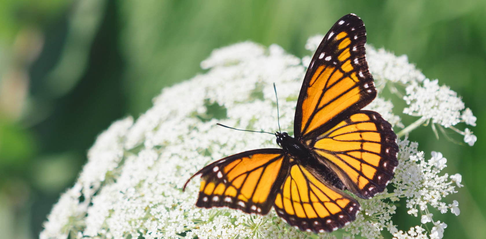 Praise Cathedral Worship Centre